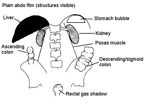 Common Symptoms and Investigations of Urinary system - medlight2u.com